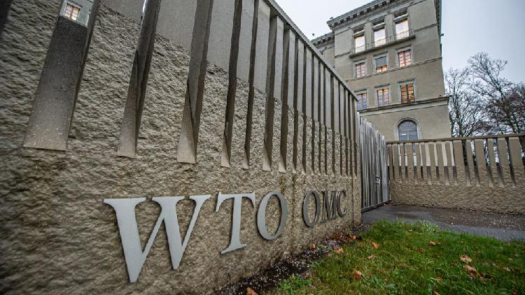 What's behind Trump administration's WTO chief dispute? - CGTN