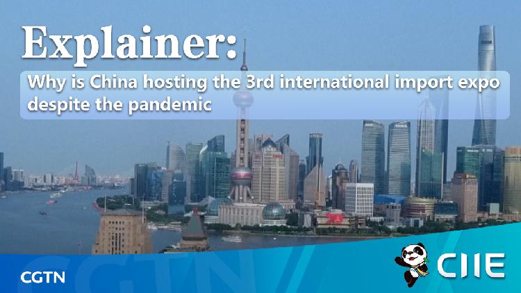 Why is China hosting the 3rd international import expo - CGTN