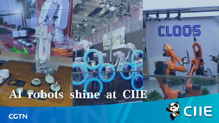 AI robots shine at CIIE - CGTN