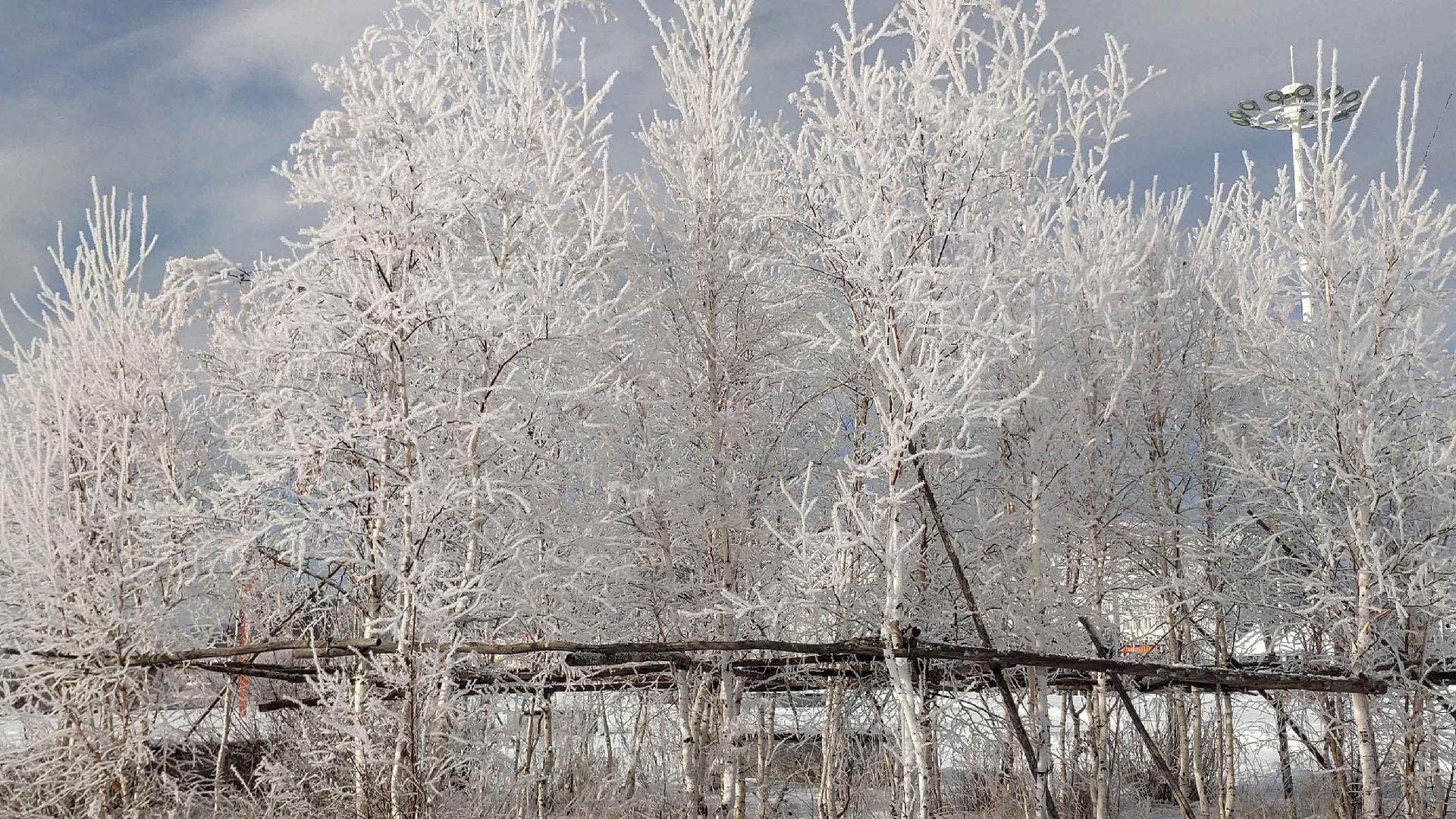 Hulunbuir's winter landscape - CGTN