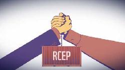 China's vice minister hails RCEP signing as milestone for Asia-Pacific ...