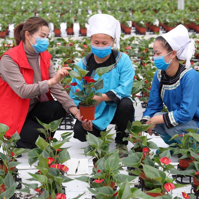 Live: SW China's Guizhou Province wins the battle against poverty - CGTN