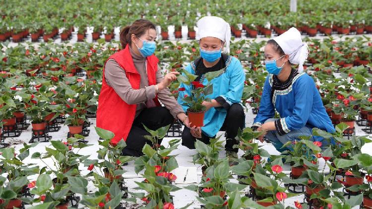 Live: SW China's Guizhou Province wins the battle against poverty - CGTN