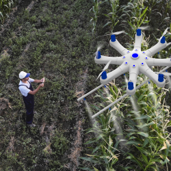 Shanghai's first unmanned farm - CGTN