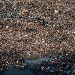 Heavy rains turn Bulgaria's longest river into 'garbage river' - CGTN