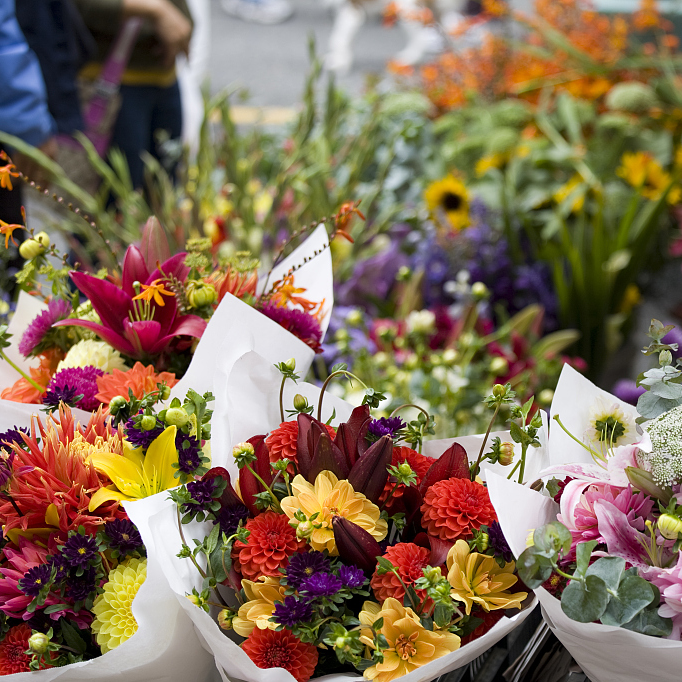 Flower markets booming in E China with upcoming Spring Festival - CGTN