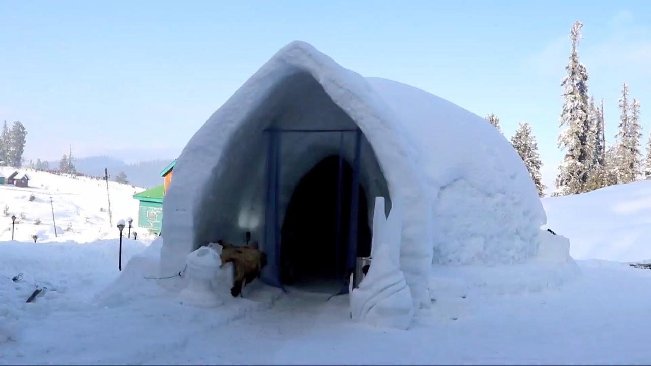 Asia's largest igloo cafe opens in India - CGTN