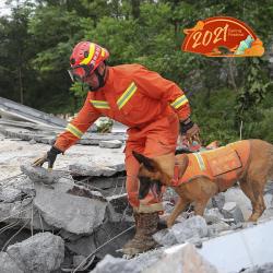 Live: Rescue dogs' training routine ahead of Spring Festival - CGTN
