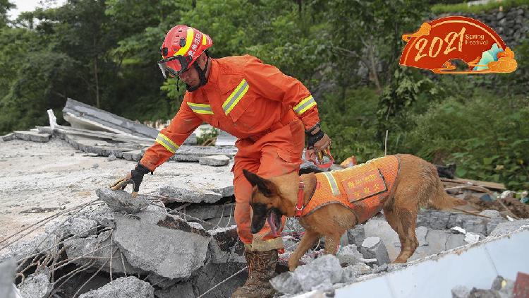 Live: Rescue dogs' training routine ahead of Spring Festival - CGTN