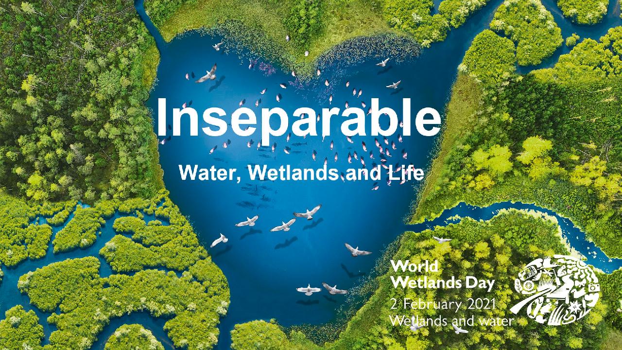 Water and wetlands – Inseparable for life in our community - CGTN