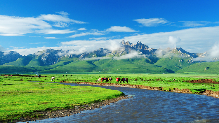China's Qinghai creates 145,100 posts for ecological conservation - CGTN