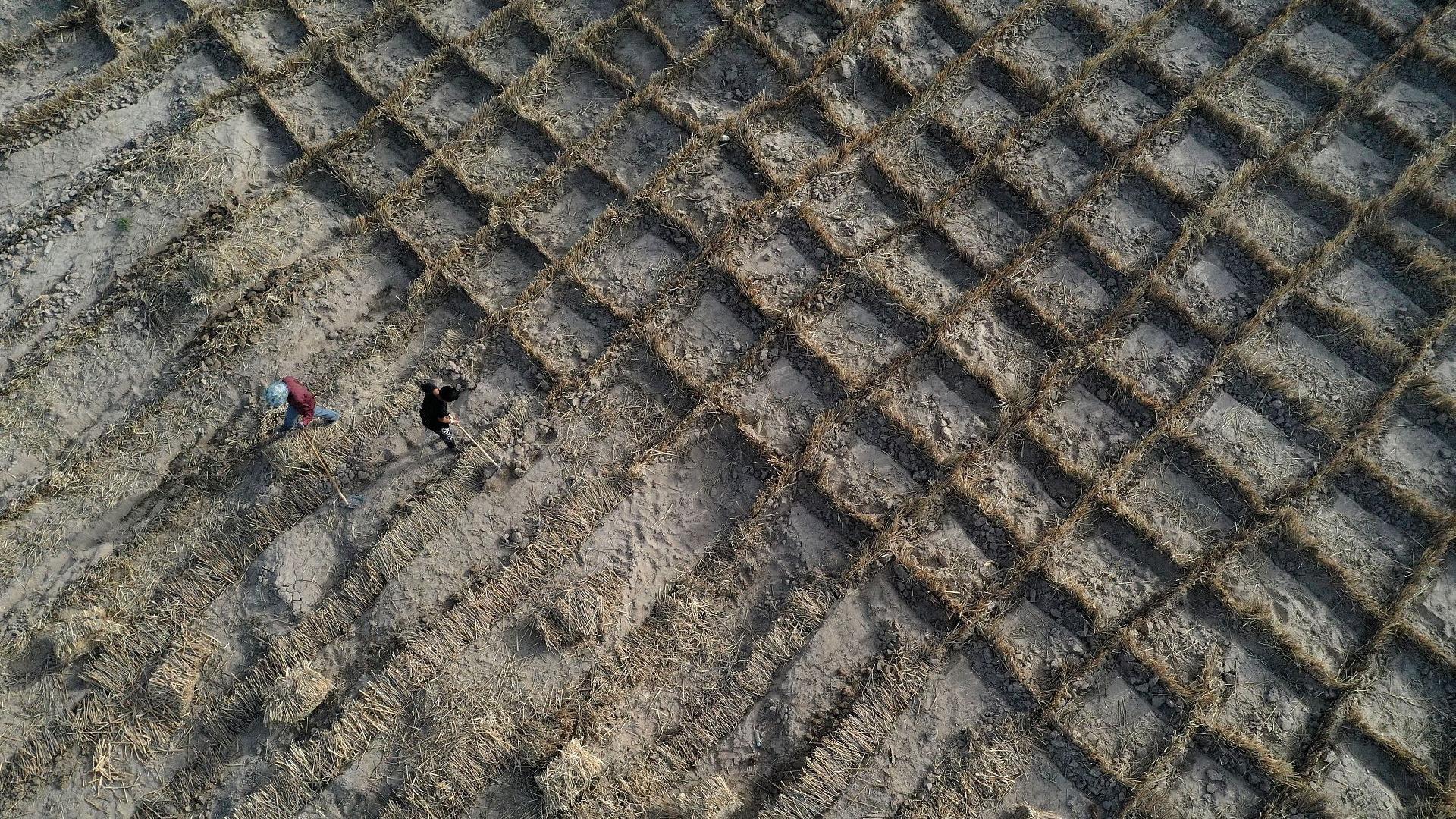 Chinese researchers develop new machine for desert control - CGTN