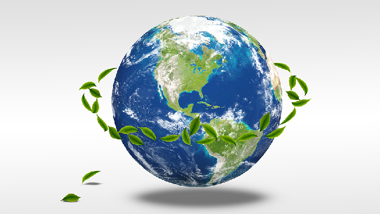 Live: Press conference on the United Nations Environment Assembly - CGTN