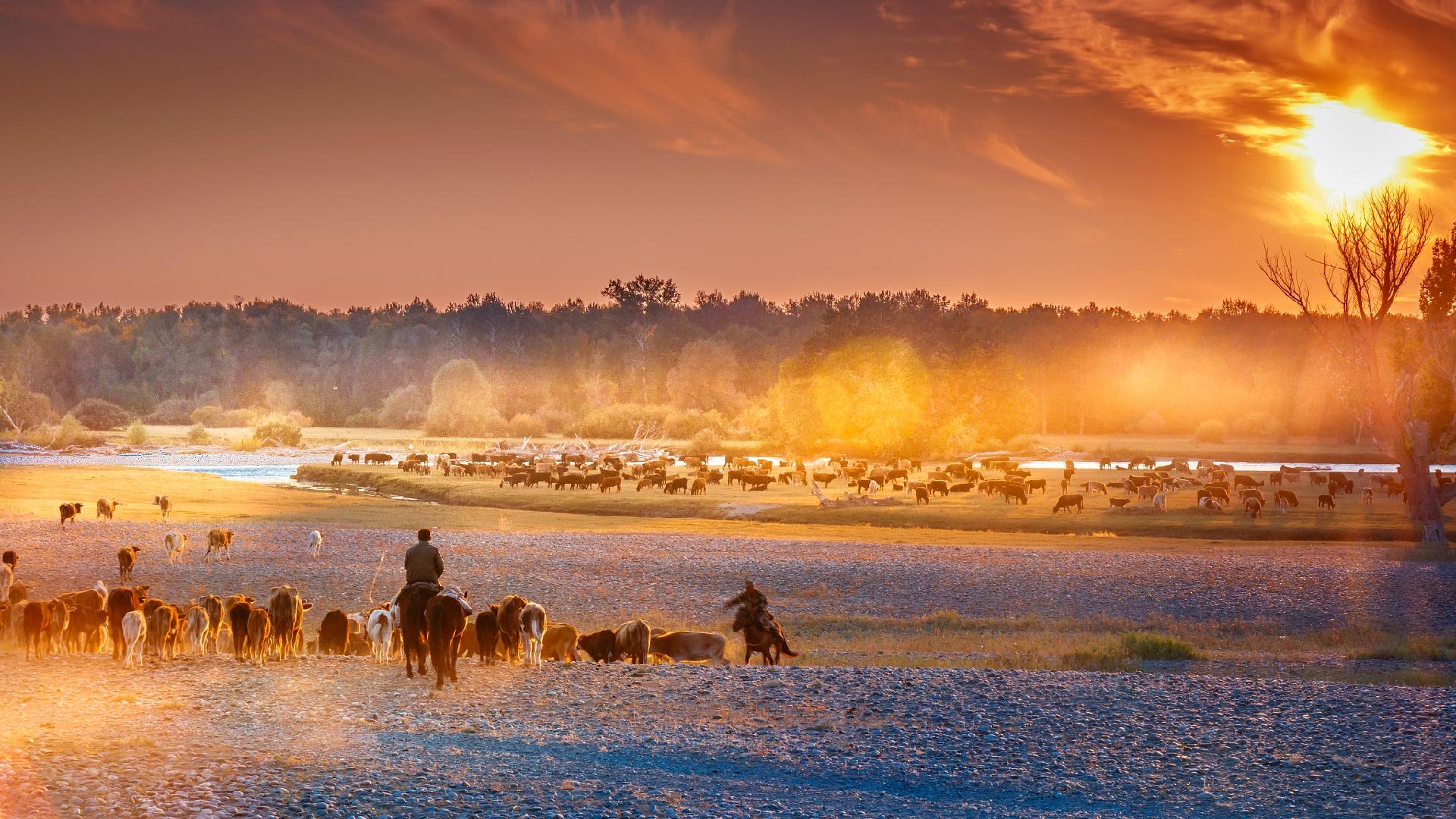Short video series titled 'True Stories from Xinjiang, China' launched ...