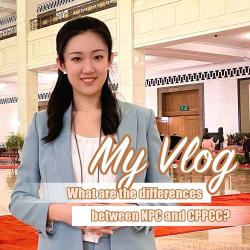 My Vlog: What are the differences between NPC and CPPCC? - CGTN