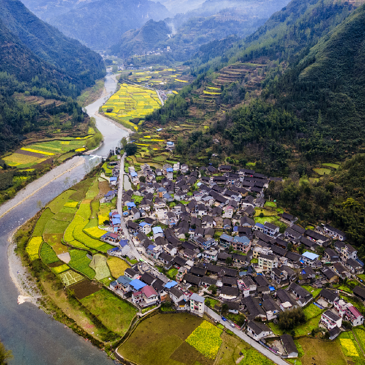 Premier Li: Rural revitalization to consolidate poverty alleviation - CGTN