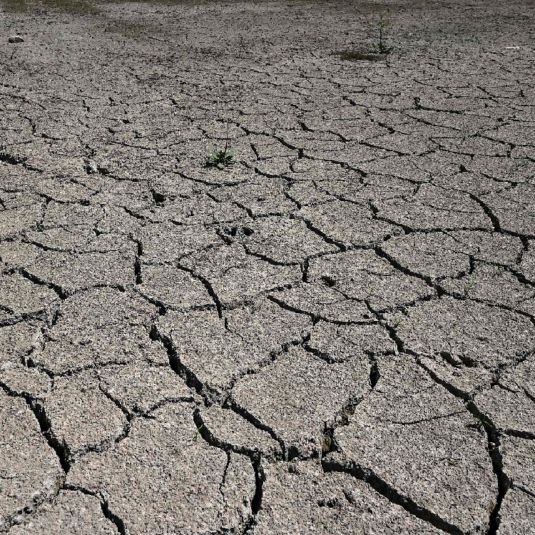 Europe's droughts since 2015 'worst in 2,000 years' - CGTN