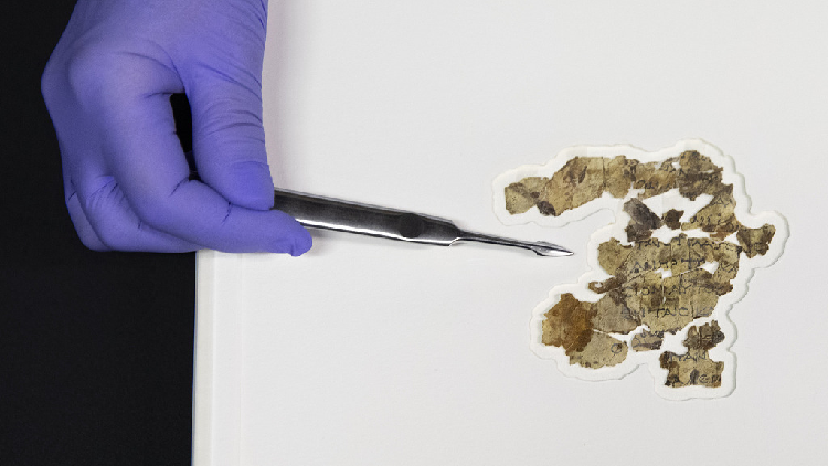 Israeli archaeologists announce discovery of new Dead Sea scrolls - CGTN