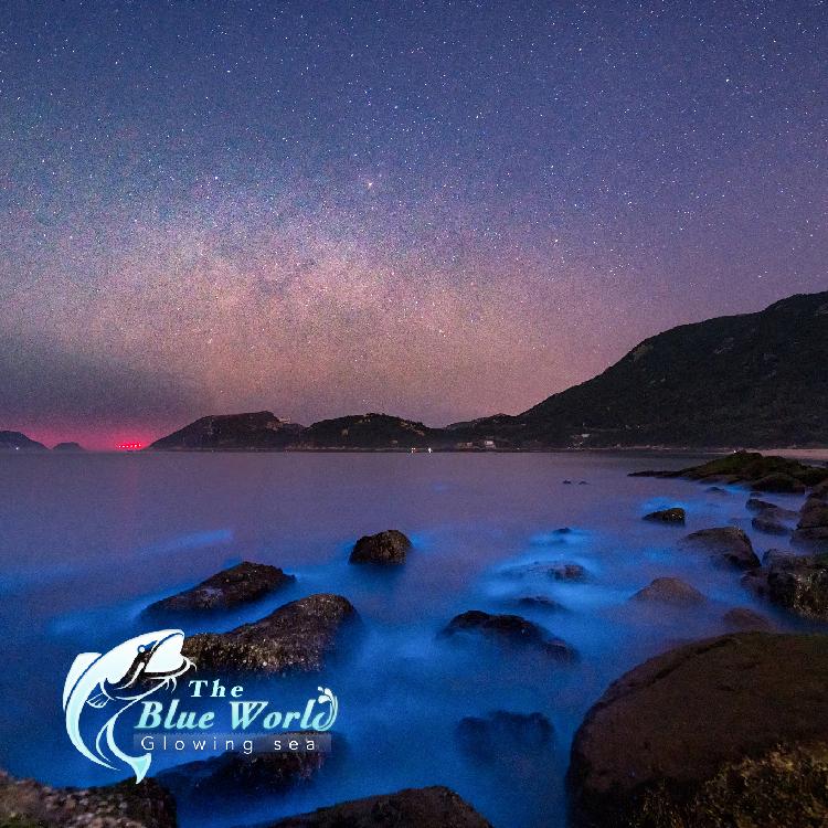 The Blue World: The glowing sea - CGTN