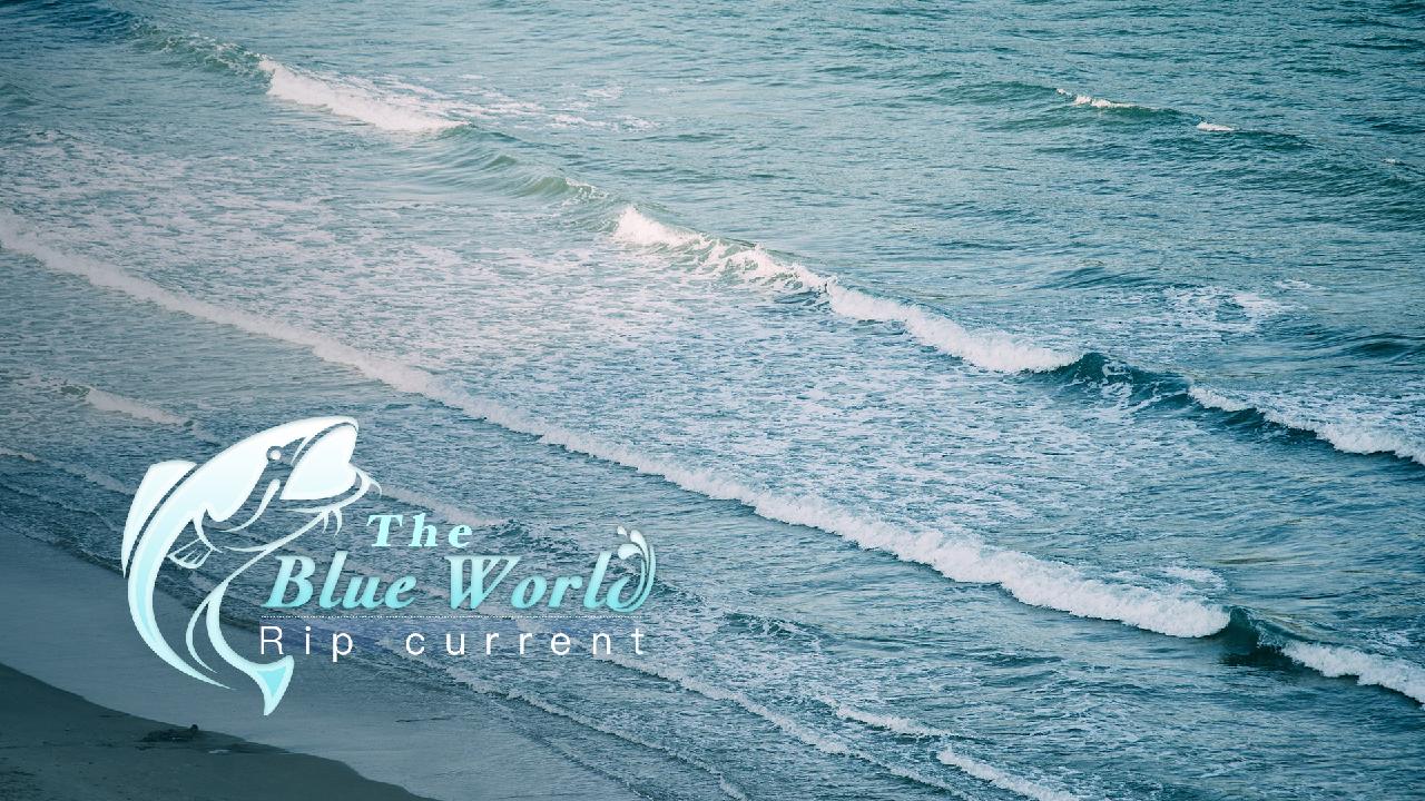 The Blue World: Far away from the shore - CGTN