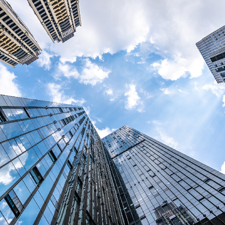 Live: MOFCOM updates recent efforts in business sector - CGTN