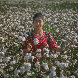 In Xinjiang, from cotton fields to cotton mills - CGTN