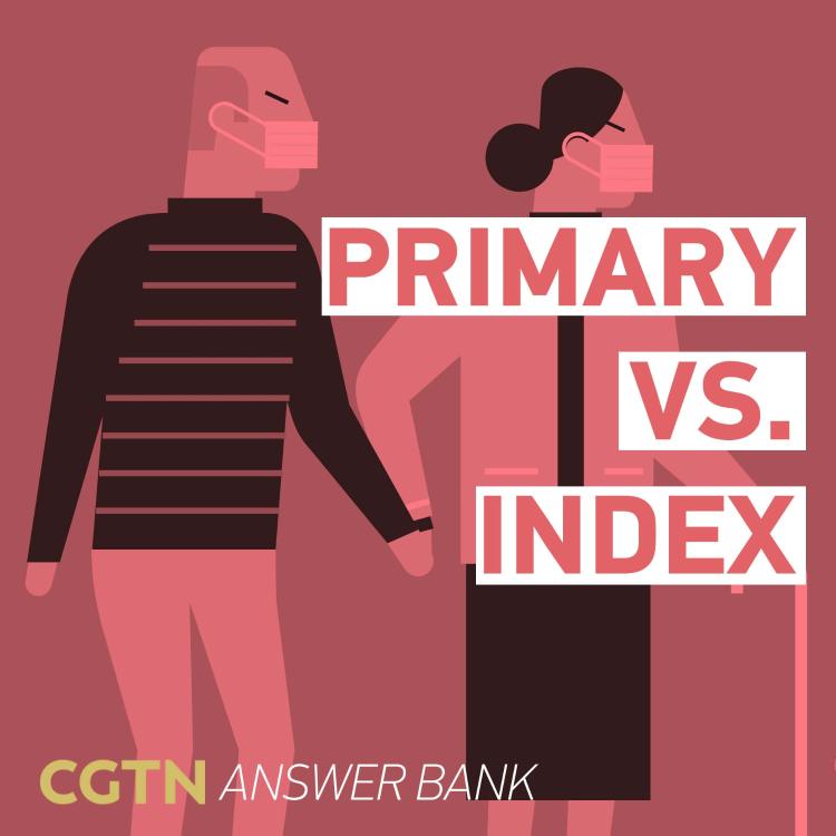 WHO COVID-19 origins report: Primary case vs. index case - CGTN