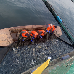 Live: Spring fishing begins in NE China's Yalu River - CGTN