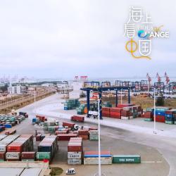 Live: Soak up the buzz of Yangpu Port in south China’s Hainan - CGTN