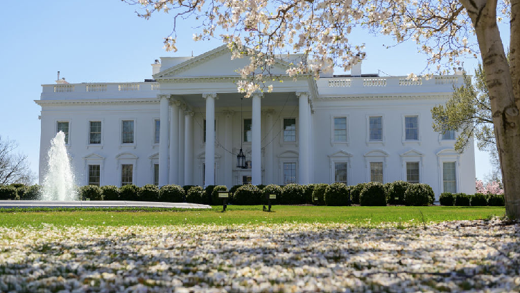 The real issue with Georgia's new voting law - CGTN