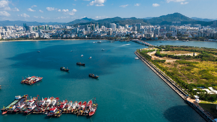Foreign investment grows robustly in south China's Hainan - CGTN