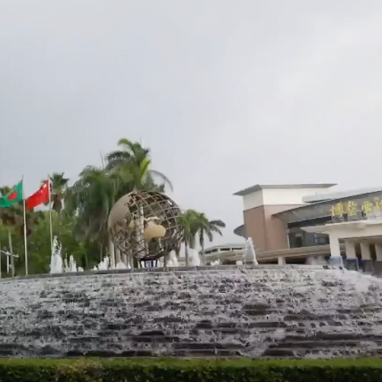 Pulling Together Through Adversity, the Boao Message in 2021 - CGTN