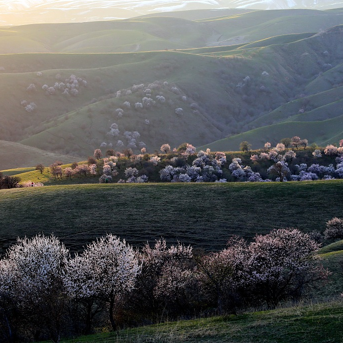 Follow the new Silk Road: Brief travel guide to Khorgos - CGTN