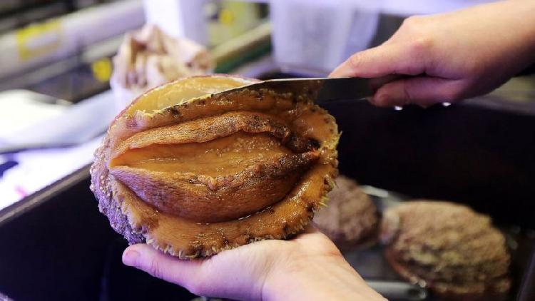 How scientists use creativity to save endangered white abalone - CGTN