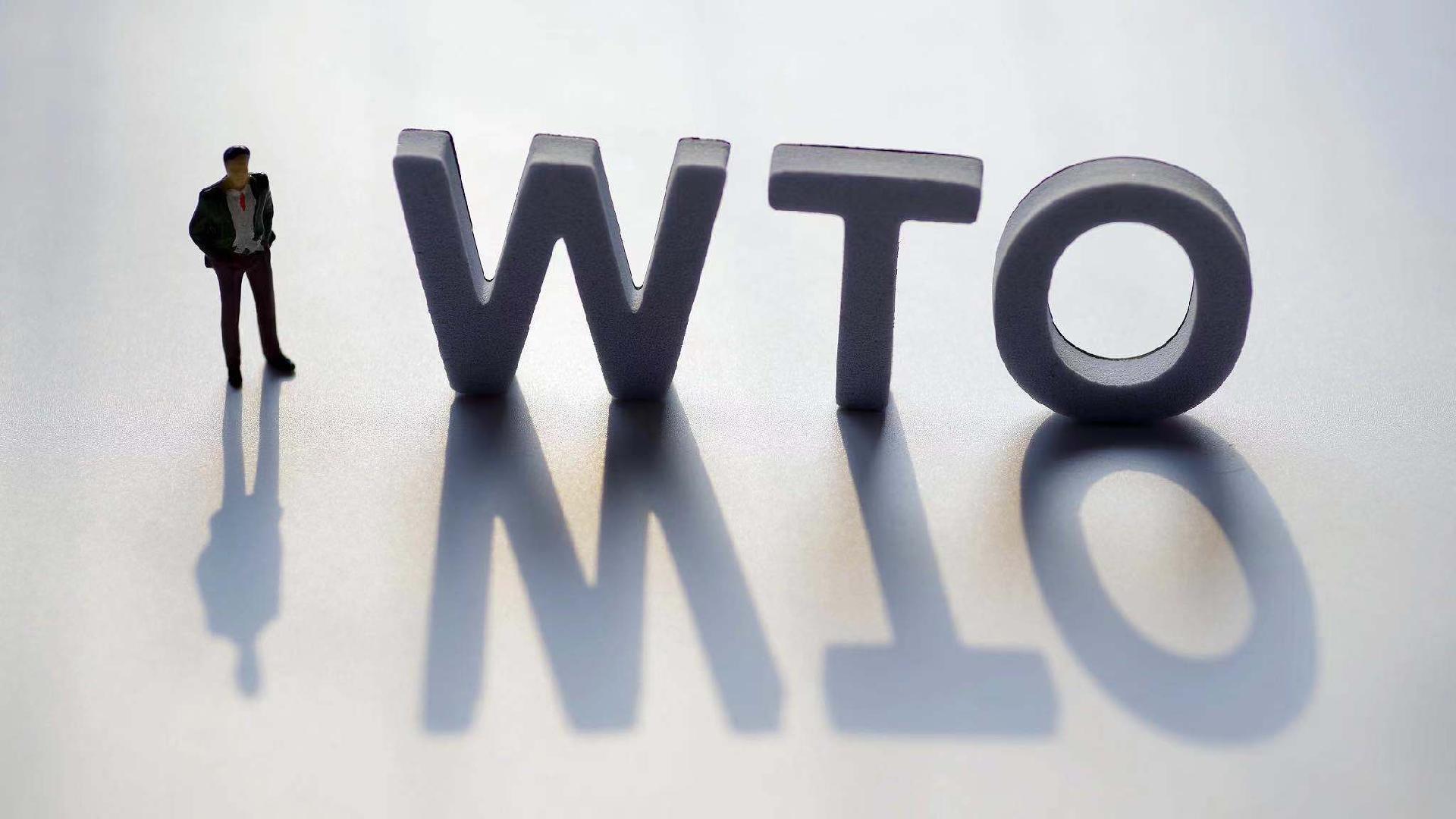 China, WTO need to upgrade overdue digital trade rules - CGTN