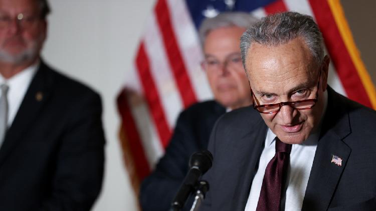 Senate Democrats to add $52 billion for U.S. chips production, R&D - CGTN