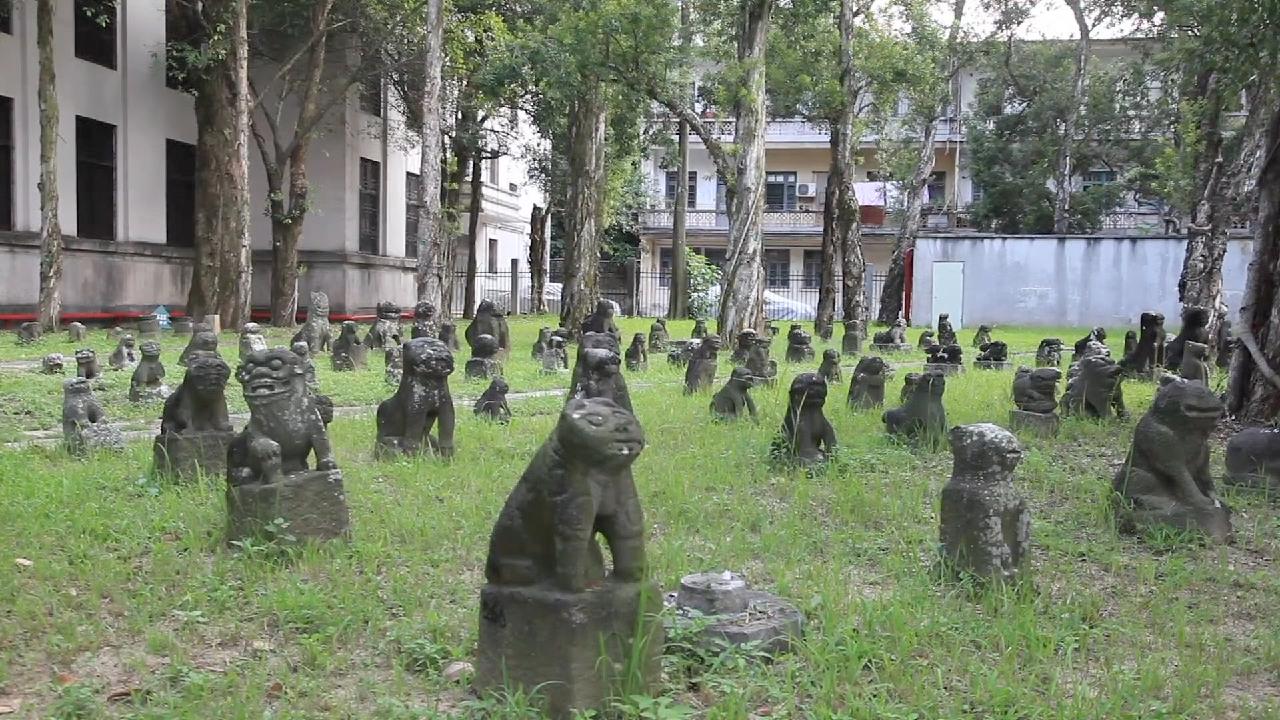 Why is this place in Guangdong full of stone dogs? - CGTN