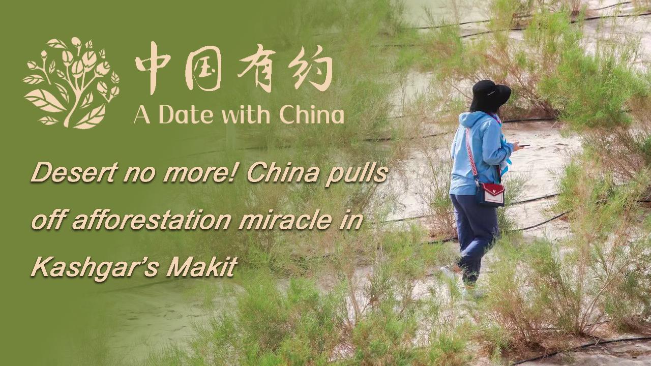A Date With China: Afforestation miracle in Kashgar's Makit - CGTN