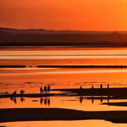 Wuhai: a city with desert and lake - CGTN