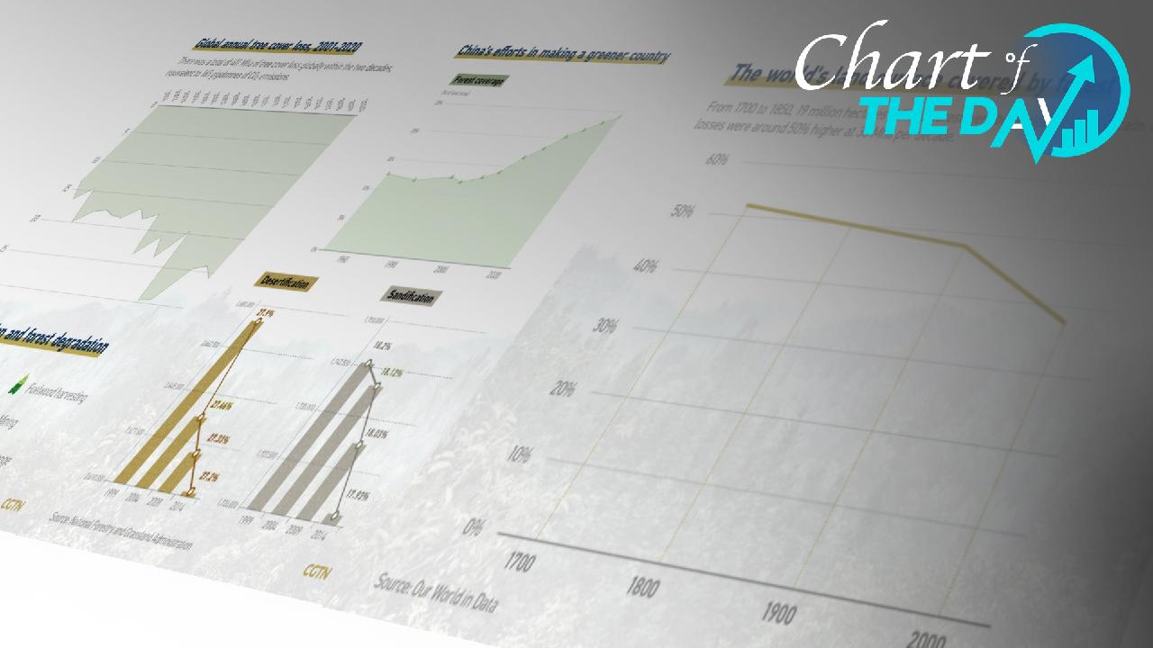 Charts of the Day: Seeking a sustainable way to stop forest loss - CGTN