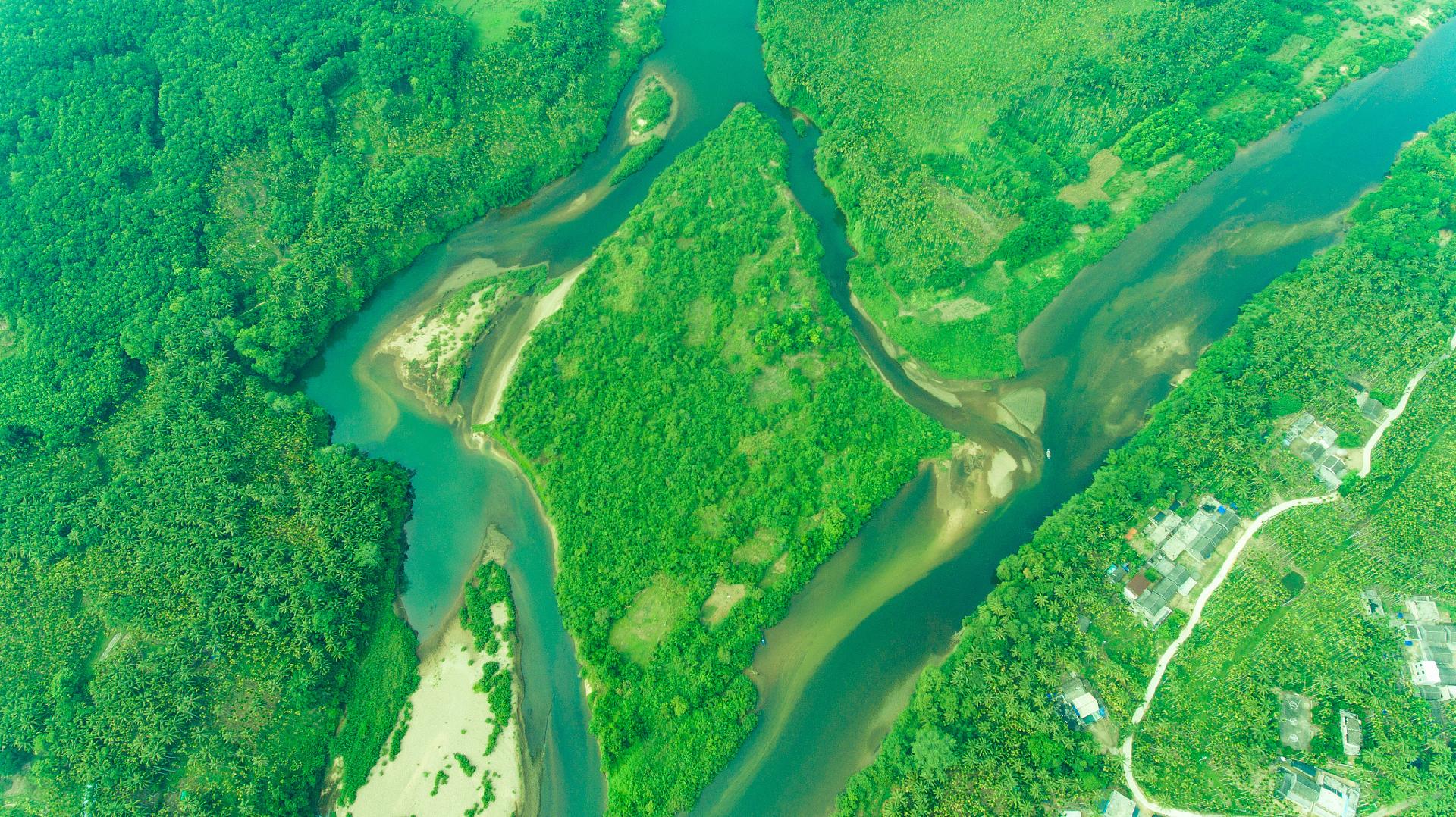 Xi sends message to World Environment Day event in Pakistan - CGTN