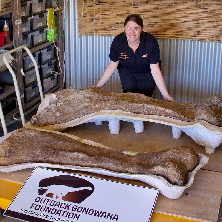 Australia's largest dinosaur identified as new species - CGTN