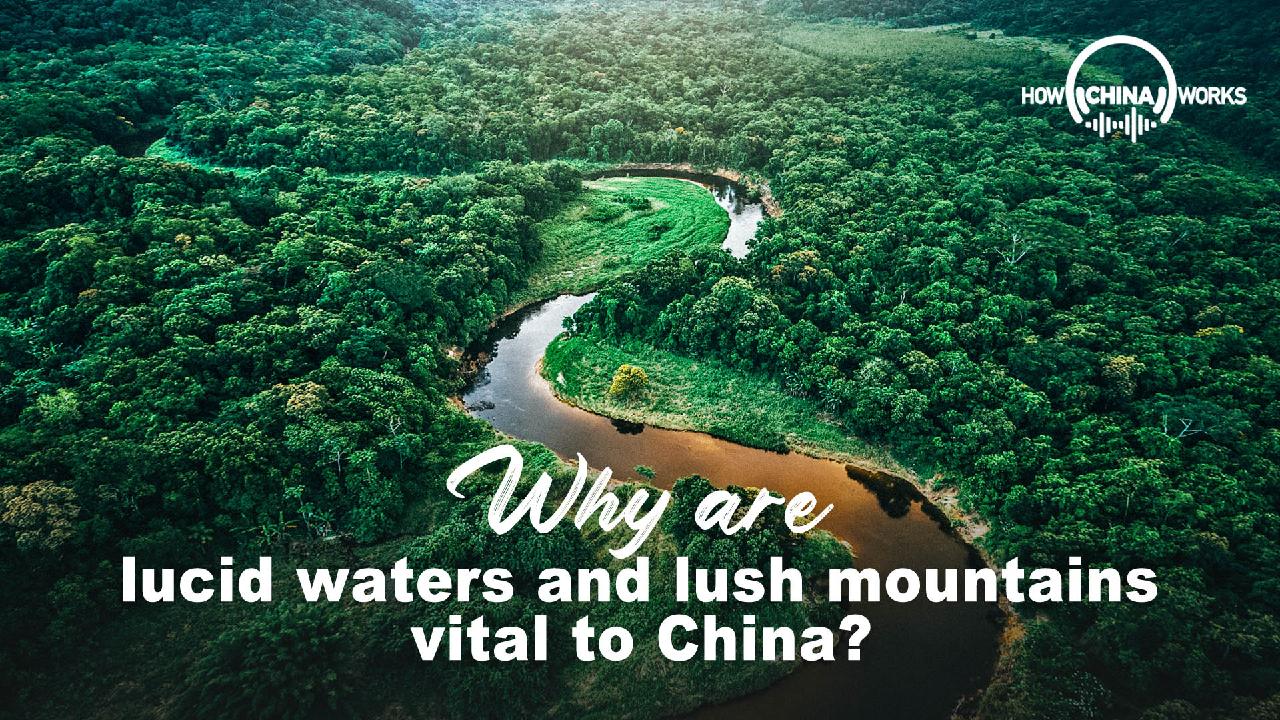 Why are lucid waters and lush mountains vital to China? - CGTN