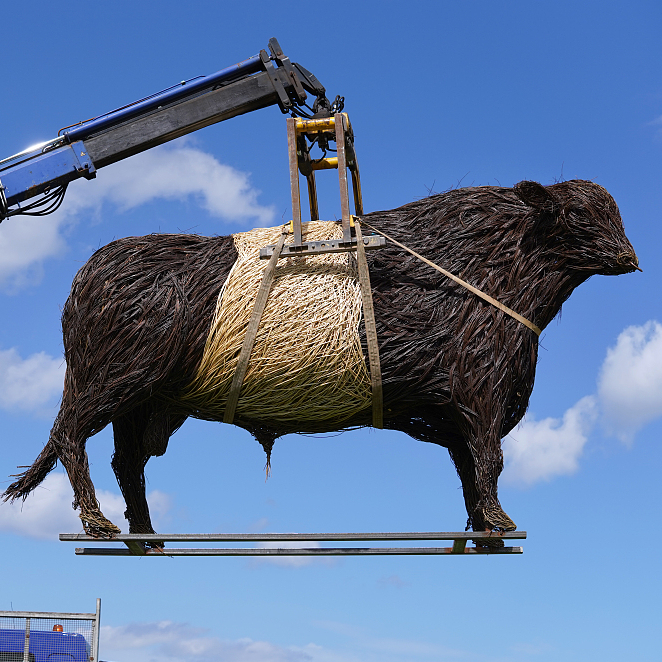 Willow bull takes the stage in Edinburgh's Royal Highland Show - CGTN