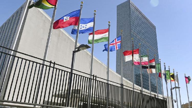 Building the inclusive, networked UN we need - CGTN