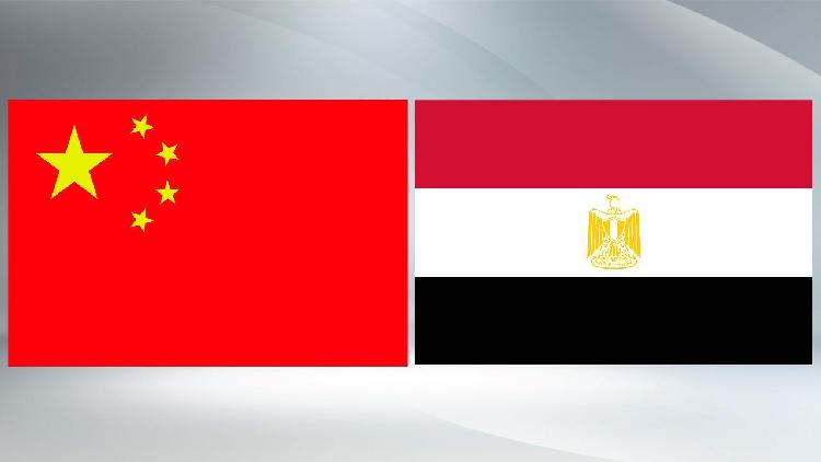 China thanks Egypt for support at UN Human Rights Council - CGTN