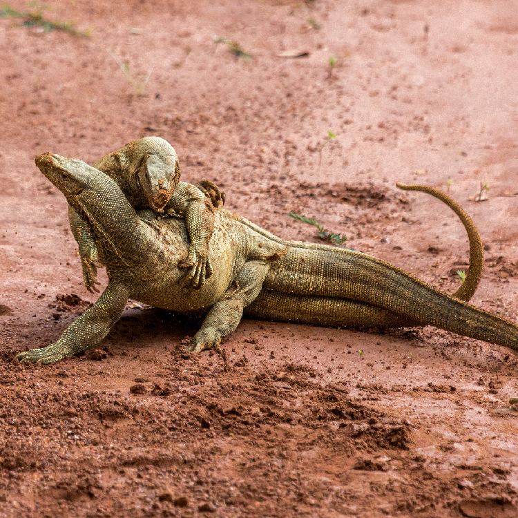 When a hug turns into a fight - CGTN
