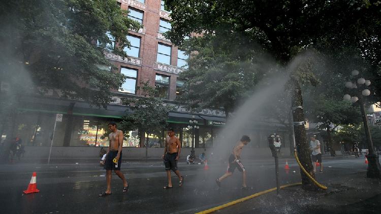 Scores dead as heat wave grips Canada, U.S.: police - CGTN