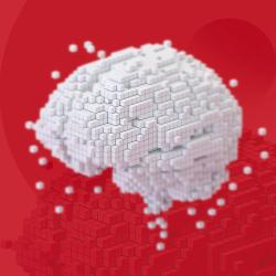 Who Runs the CPC: Understanding the Party structure - CGTN