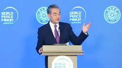 Multilateralism should be the only way to promote peace - CGTN